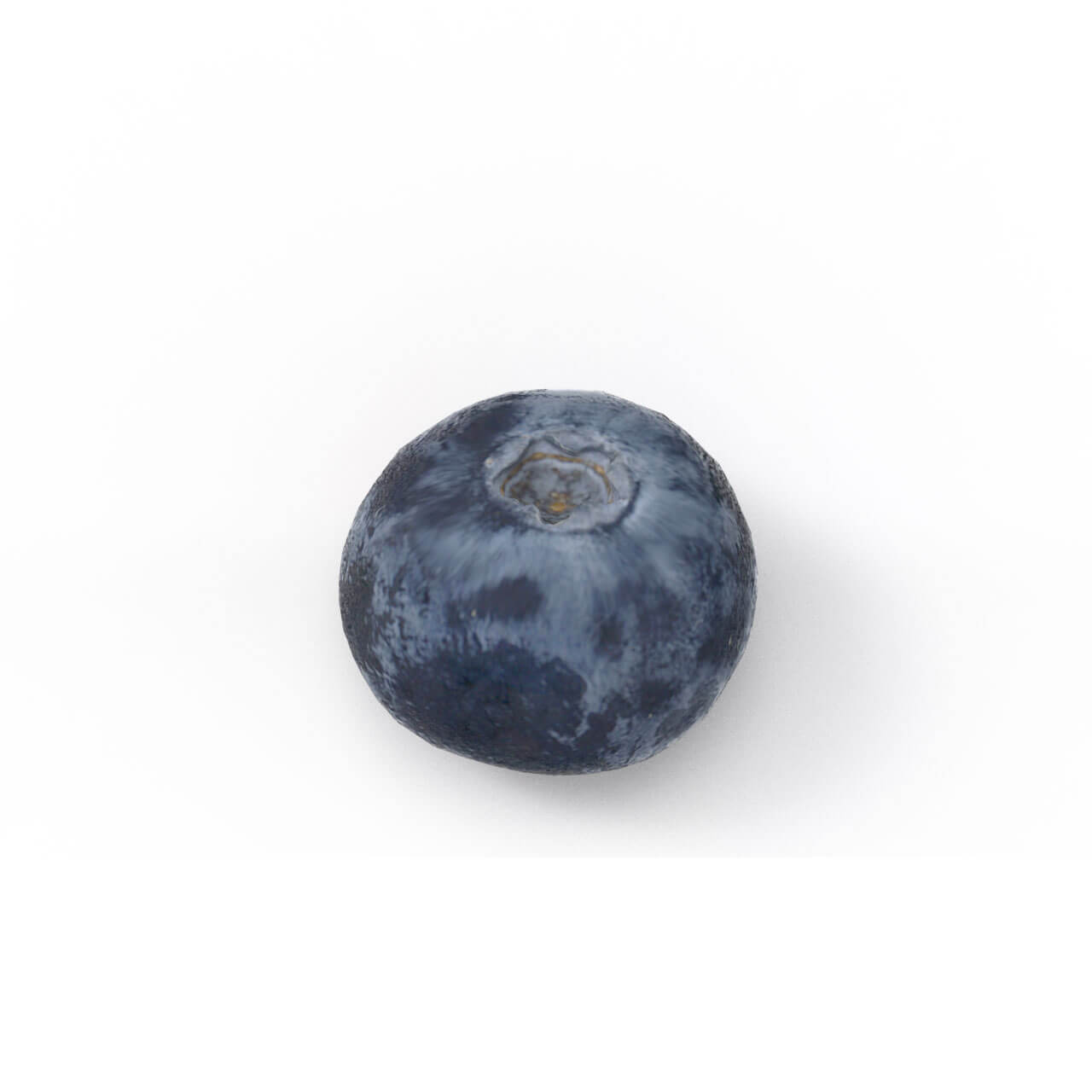 Blueberry Fruit - 3D Model by Mayaz