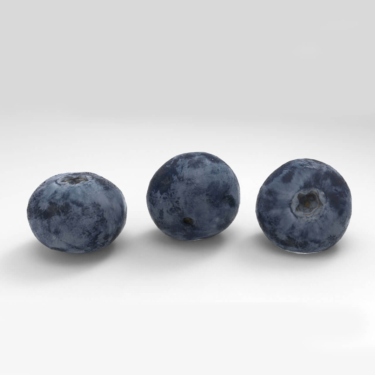 Blueberry Fruit - 3D Model by Mayaz