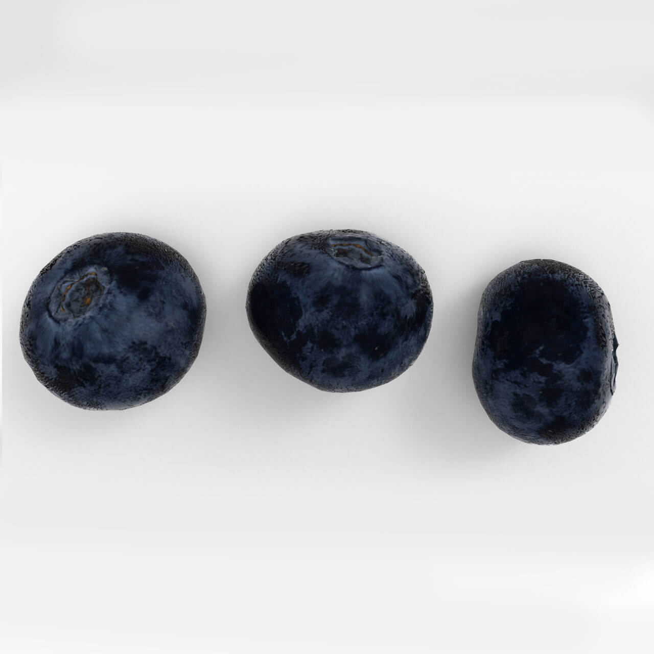 Blueberry Fruit - 3D Model by Mayaz