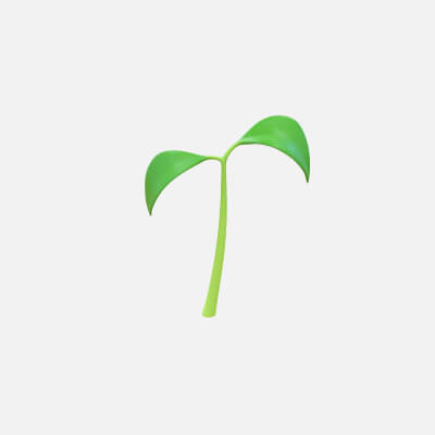 Plant Sprout 01 - 3D Model by Mayaz