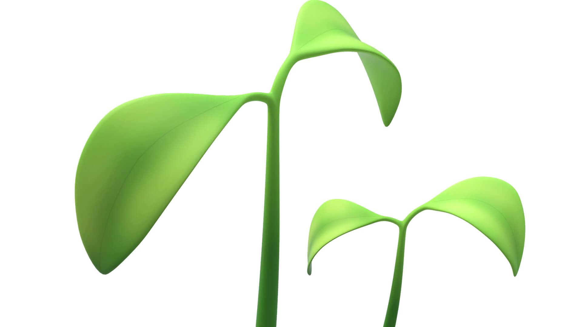 Plant Sprout - 3D Model by Mayaz