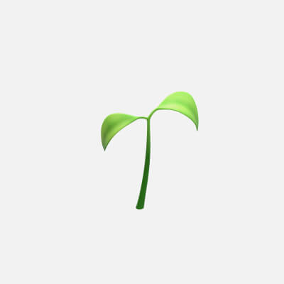 Plant Sprout - 3D Model by Mayaz