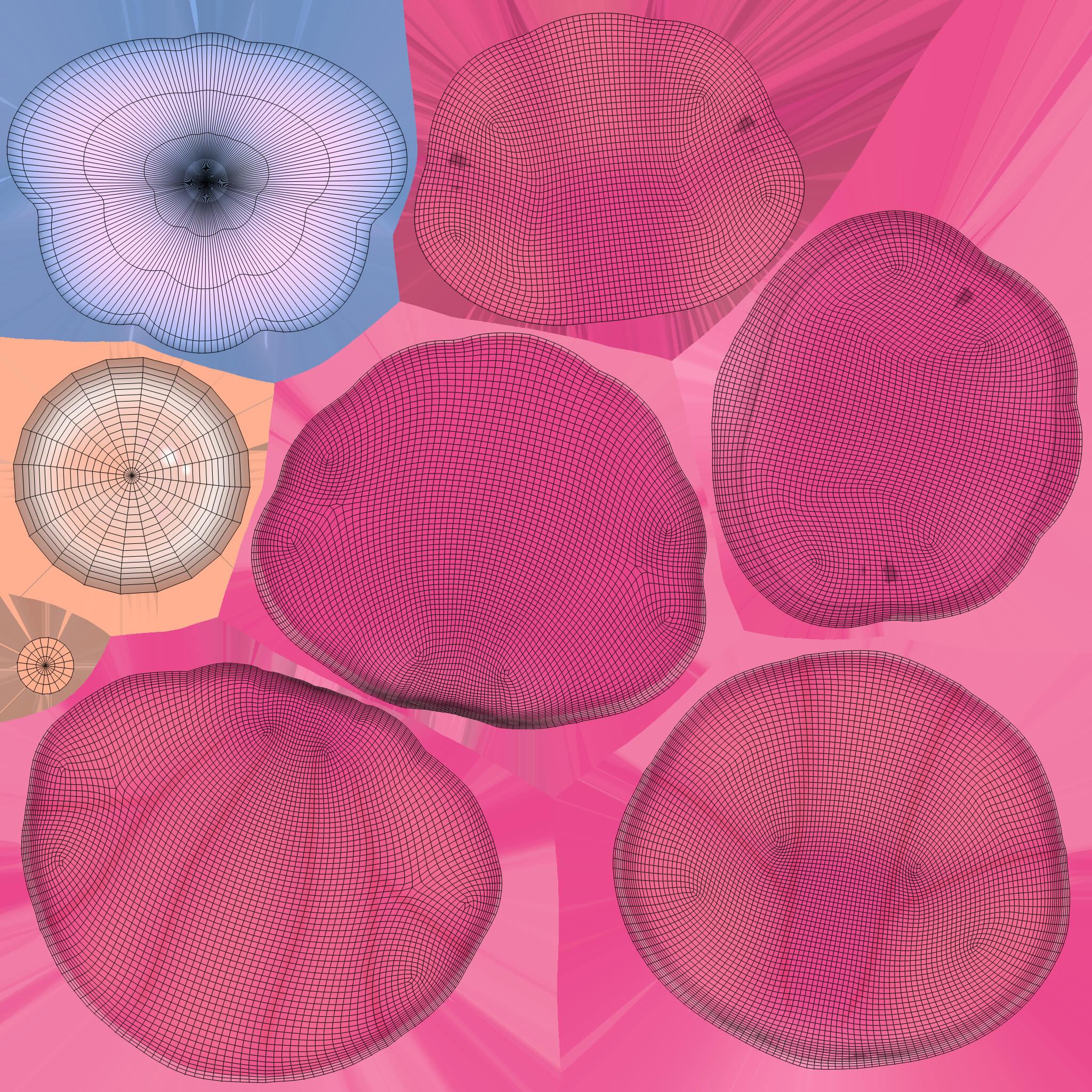 Sea Shell with Pearl 03 - 3D Model by Mayaz