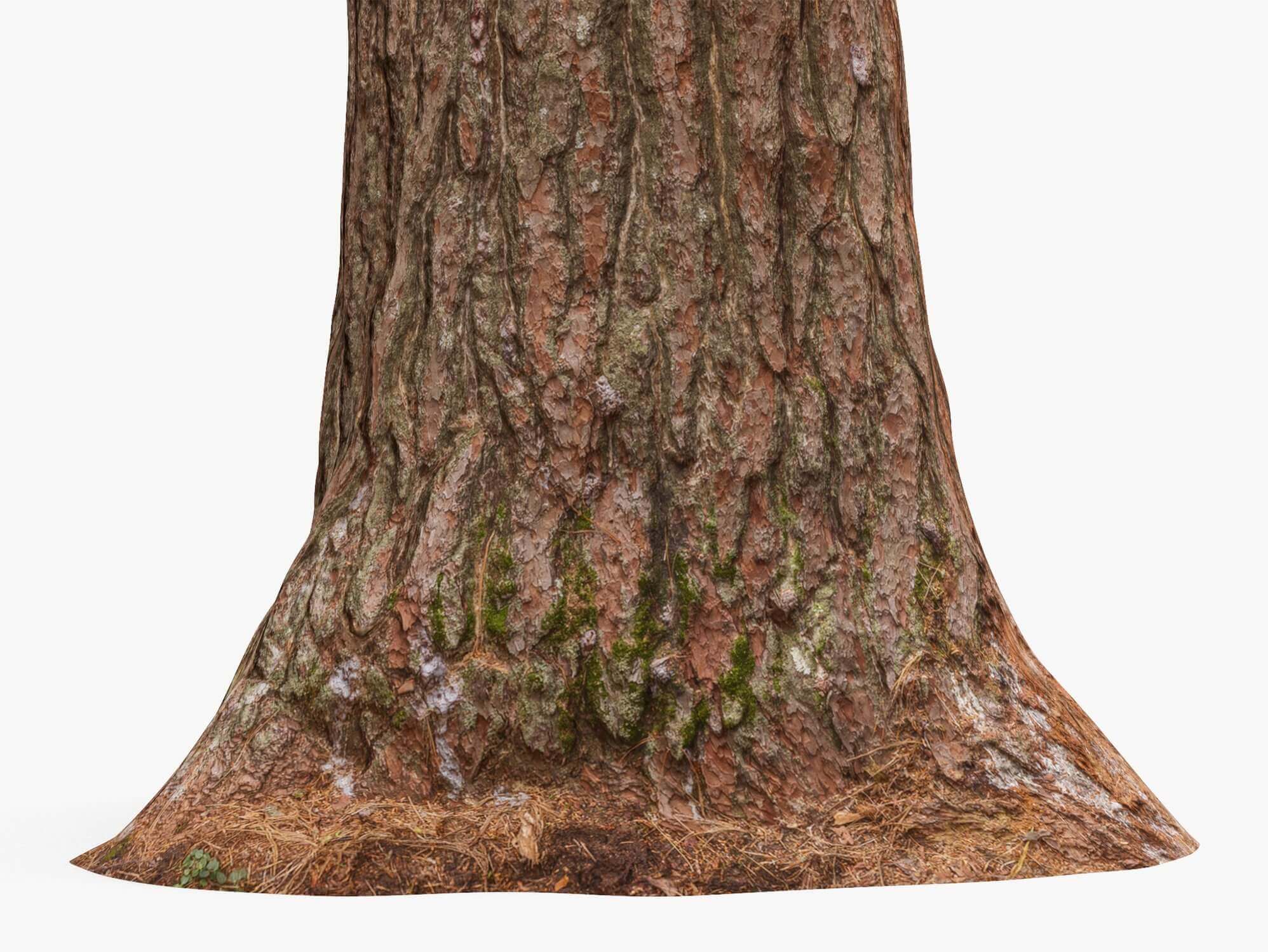 Broken Tree Trunk - 8K Scan 3D Model by meanmachinemodels