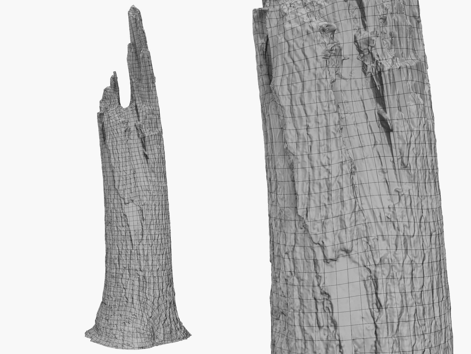 Broken Tree Trunk - 8K Scan 3D Model by meanmachinemodels