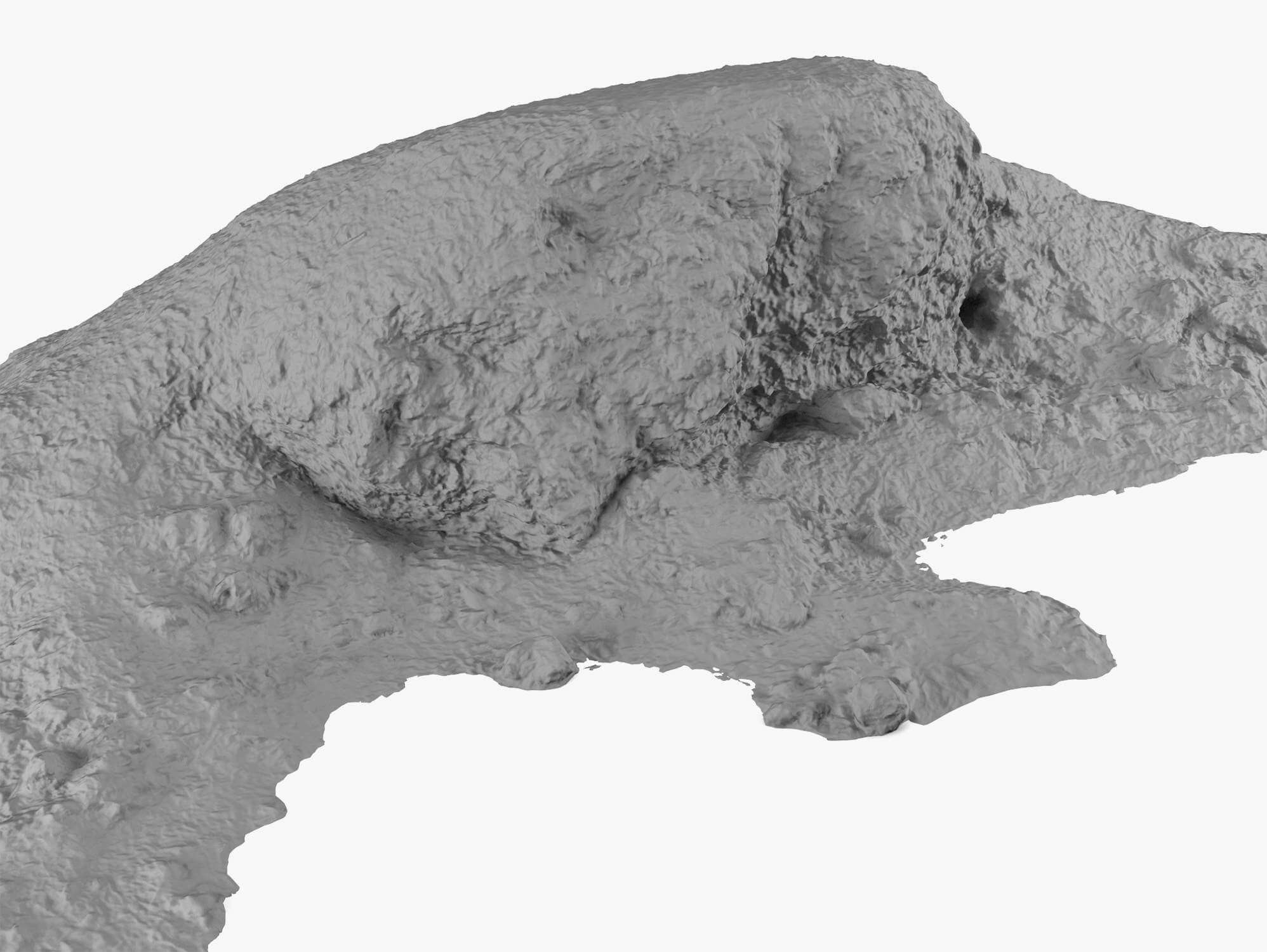 Mulch Pile - 8K Scan 3D Model by meanmachinemodels