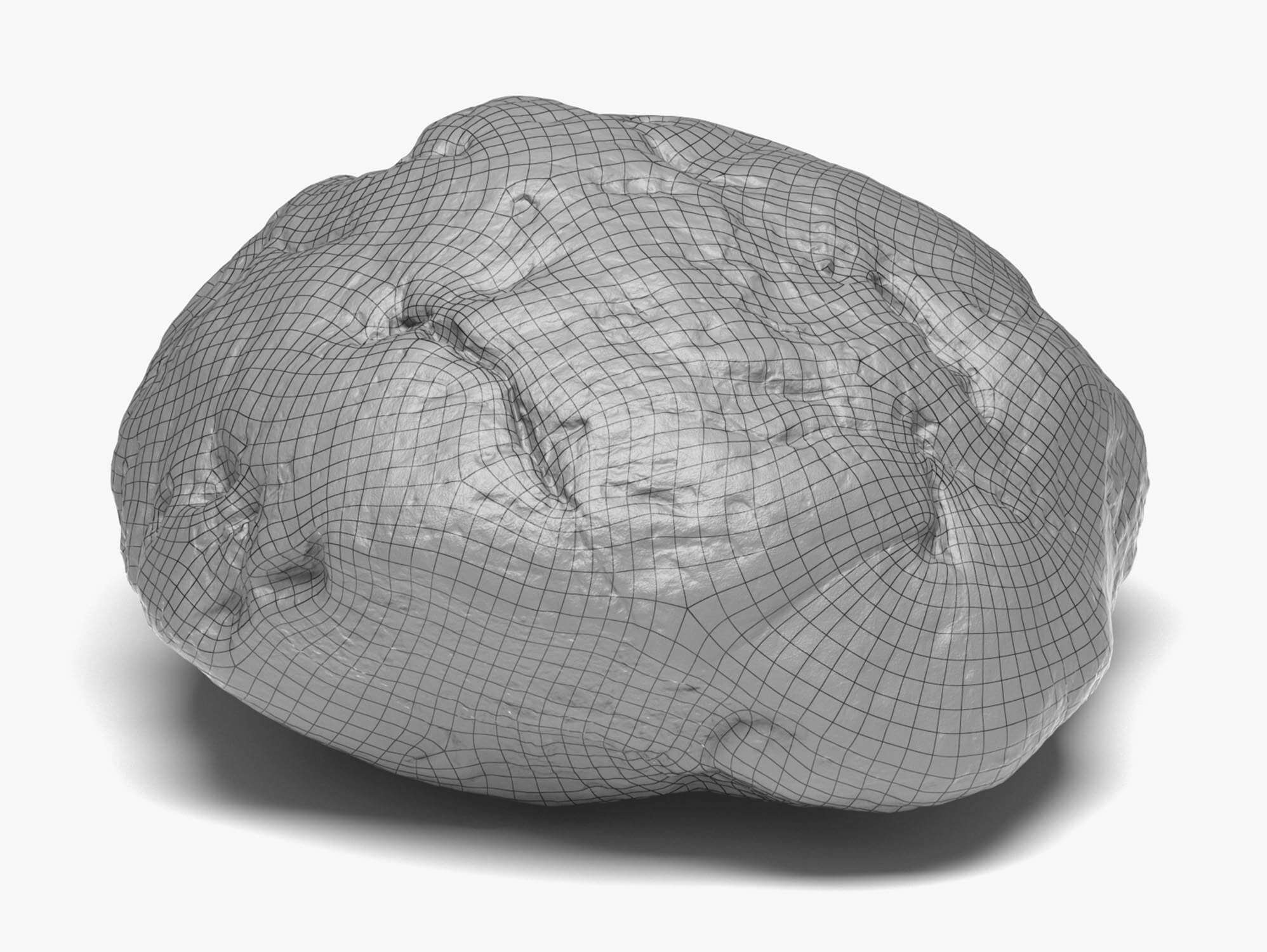 Rock 03 - 8K Scan 3D Model by meanmachinemodels