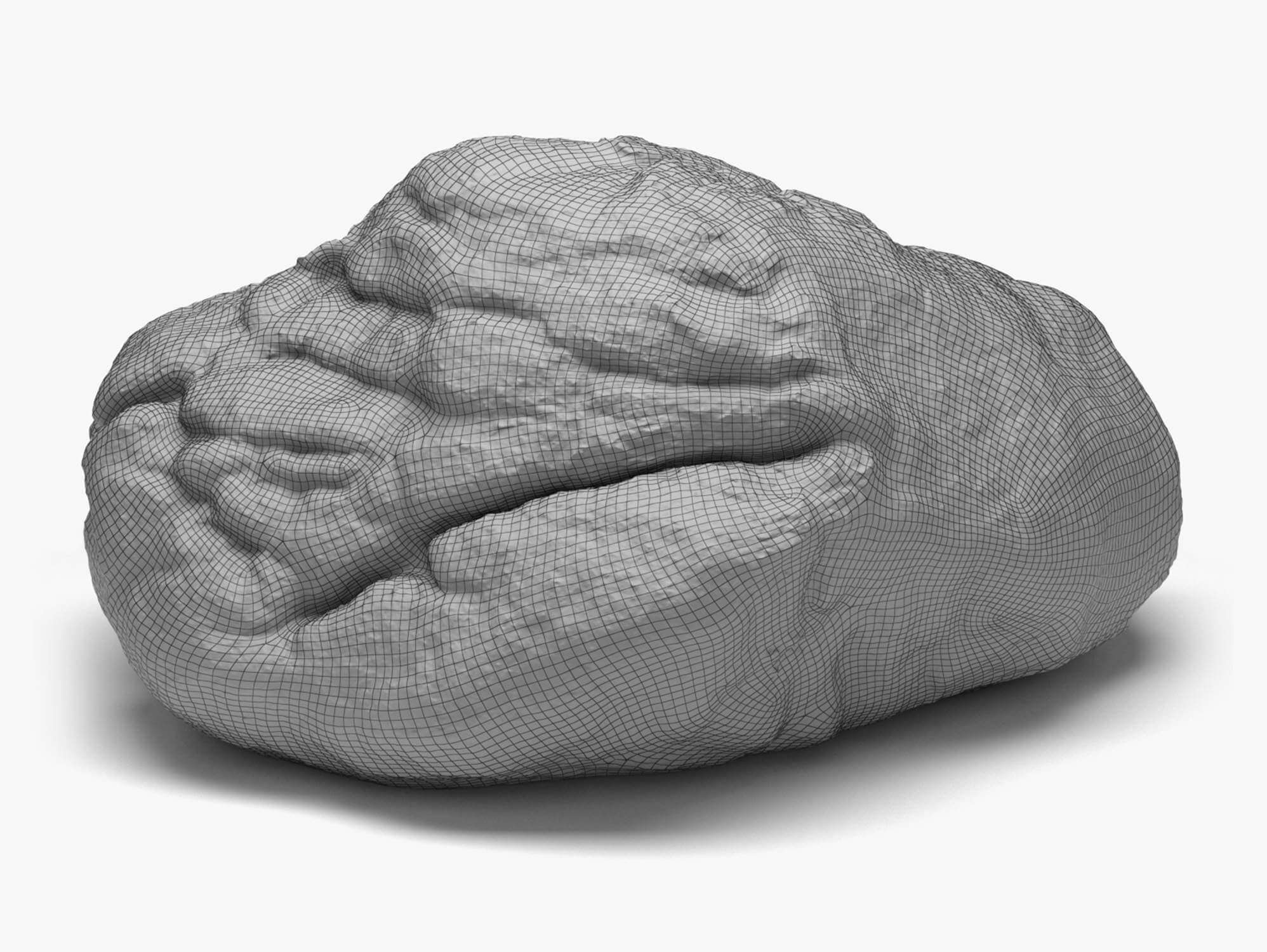 Rock 05 - 8K Scan 3D Model by meanmachinemodels