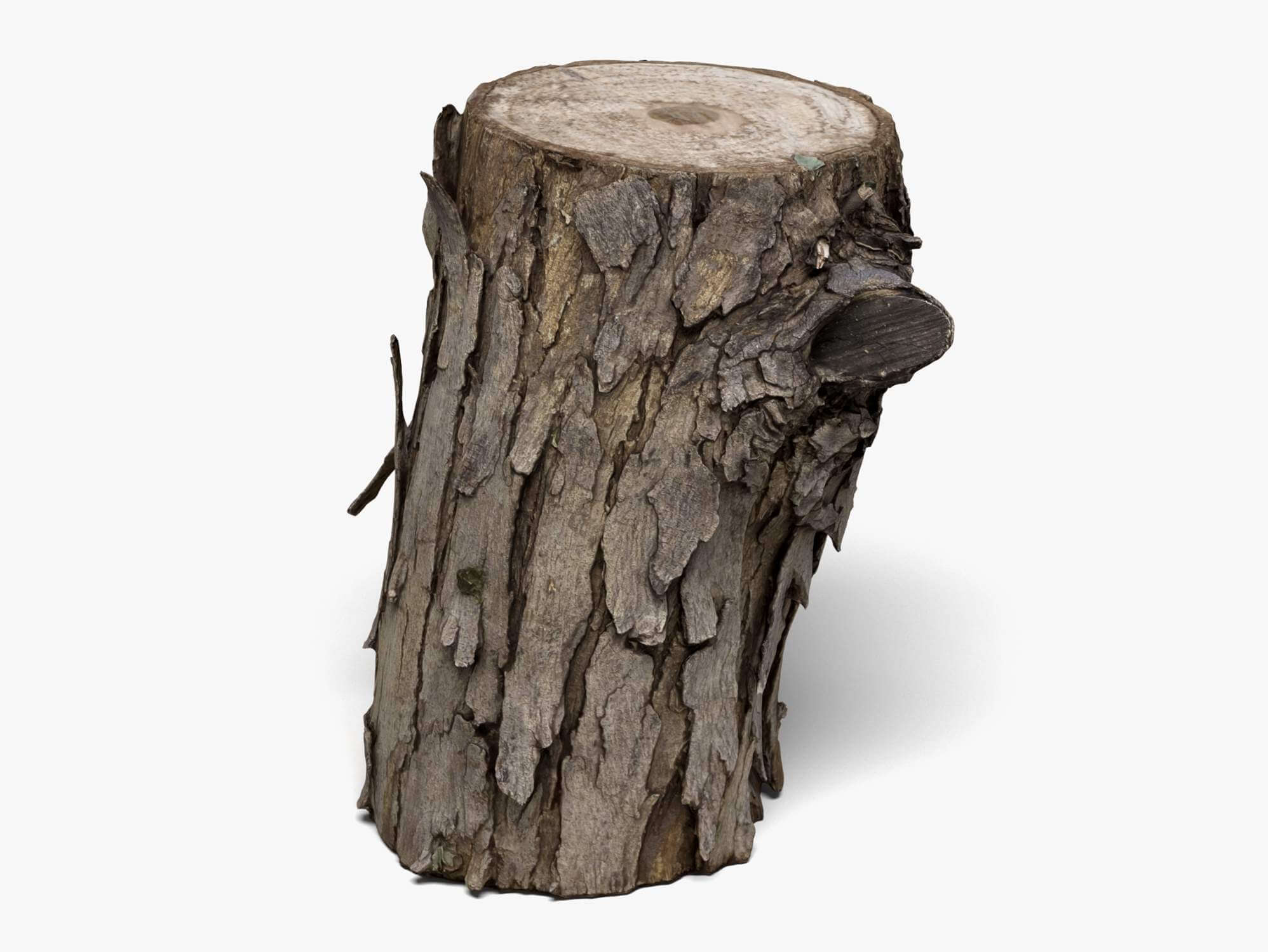 Wood Log - 8K Scan 3D Model by meanmachinemodels