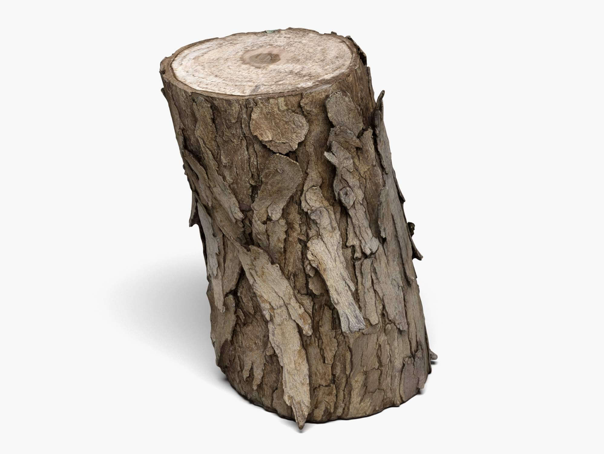 Wood Log - 8K Scan 3D Model by meanmachinemodels
