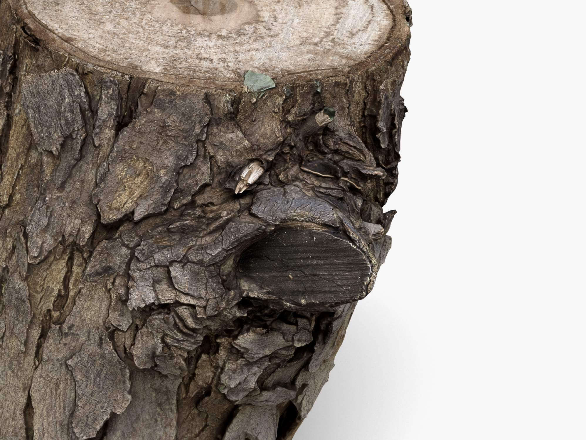 Wood Log - 8K Scan 3D Model by meanmachinemodels