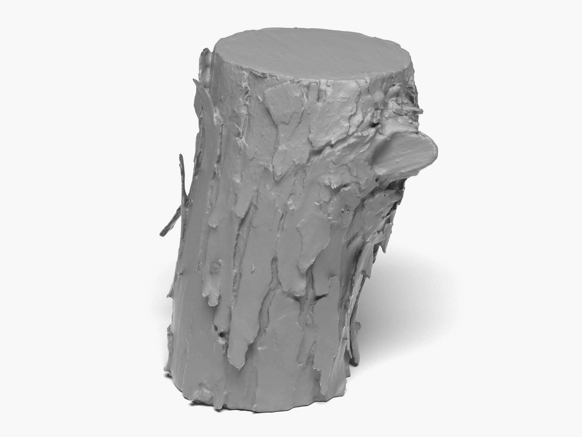 Wood Log - 8K Scan 3D Model by meanmachinemodels