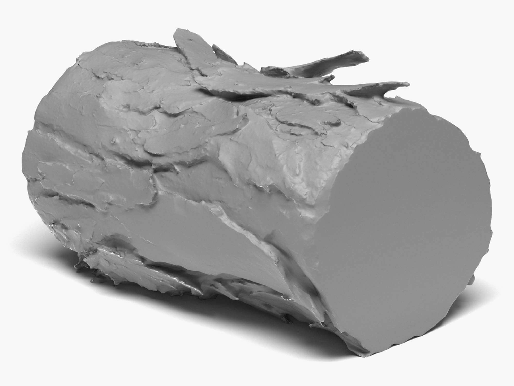 Wood Log - 8K Scan 3D Model by meanmachinemodels