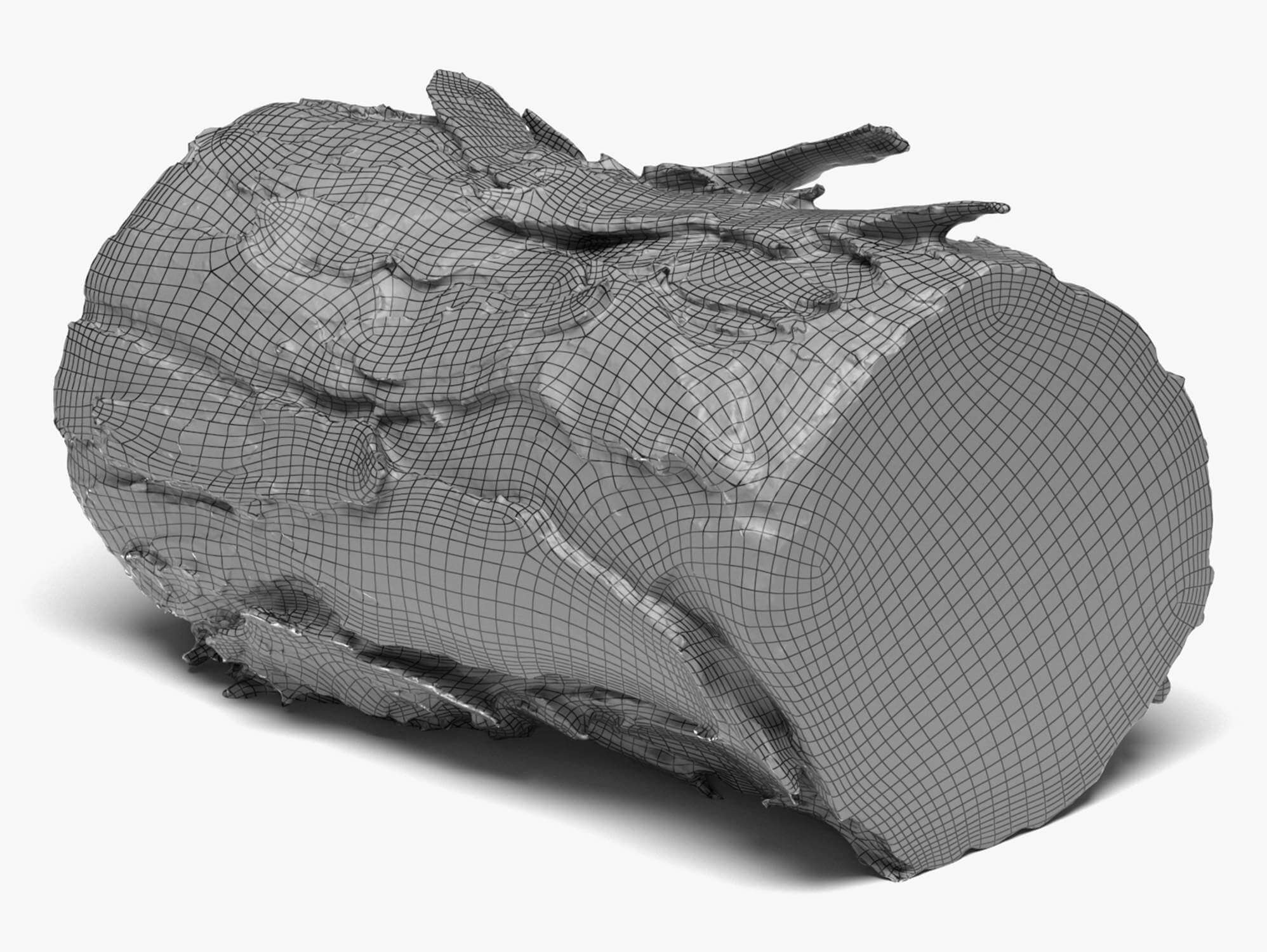 Wood Log - 8K Scan 3D Model by meanmachinemodels