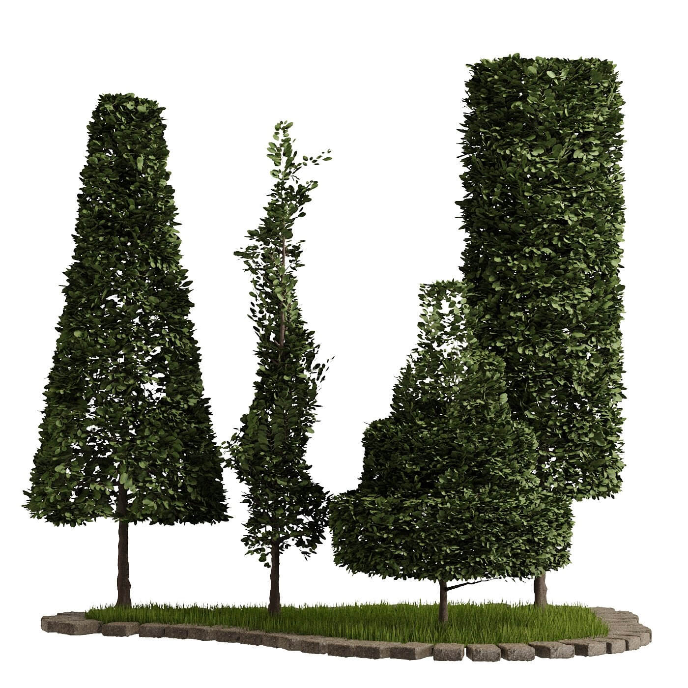 Garden Boxwood Trees 01 - 3D Model by Mehran1369