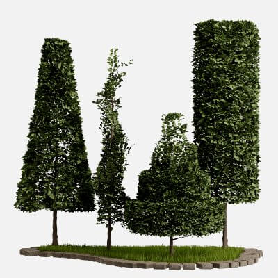Garden Boxwood Trees 01 - 3D Model by Mehran1369