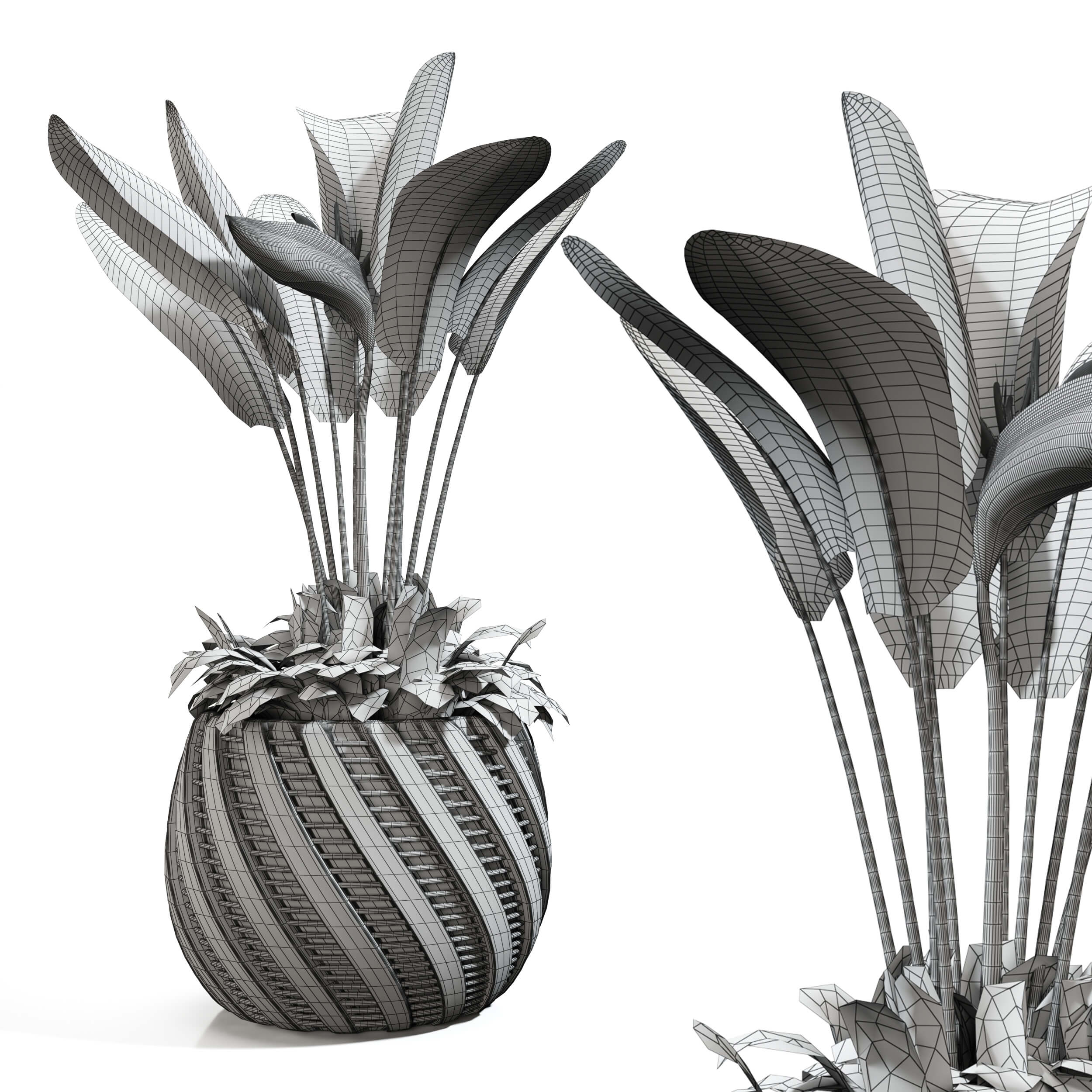 Strelitzia Reginae and Banana Plant - 3D Model by Mehrdad002100