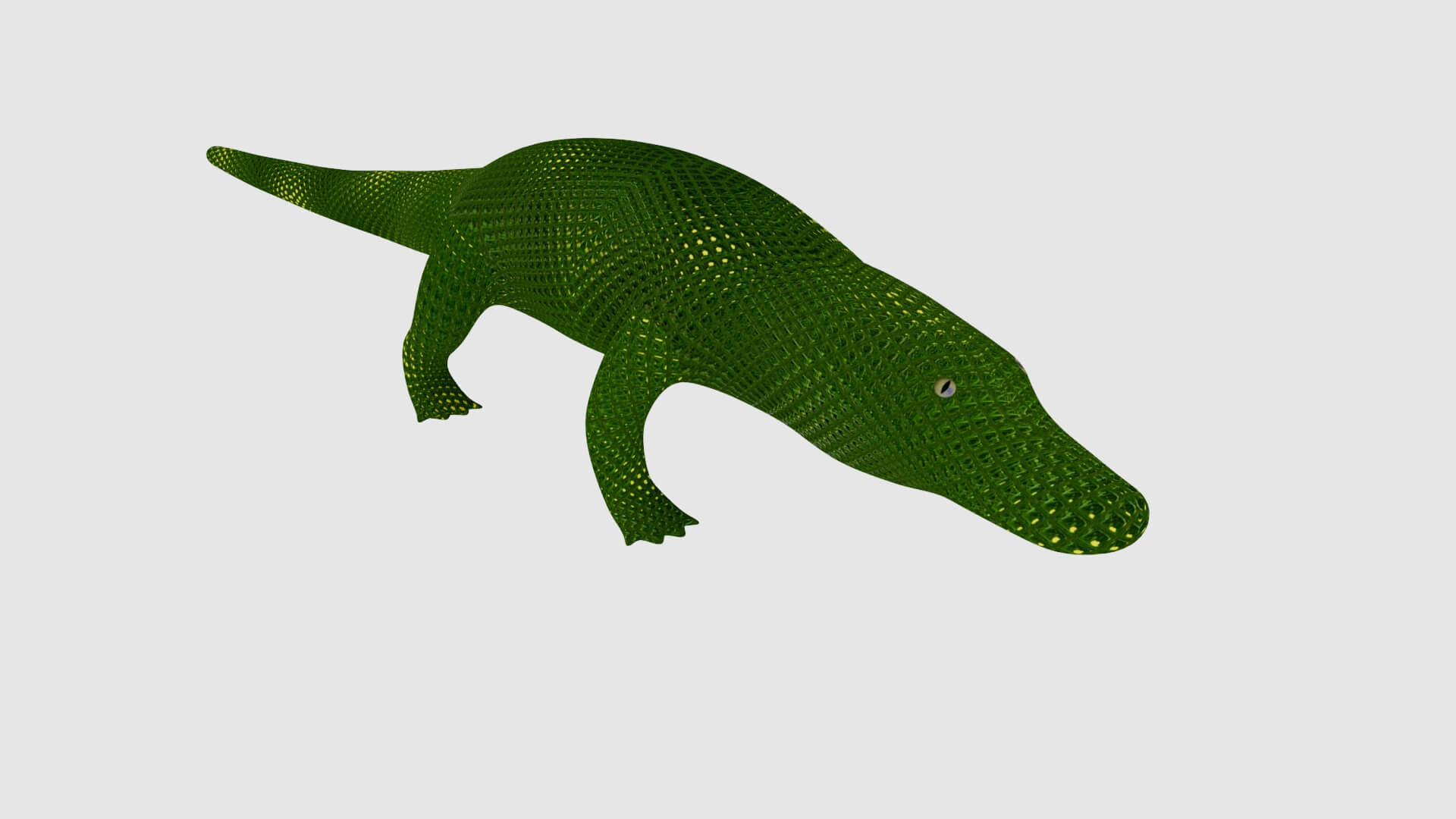 Alligator Animal - 3D Model by MerajFathi