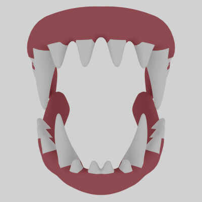 Dinosaur Teeth - 3D Model by MerajFathi