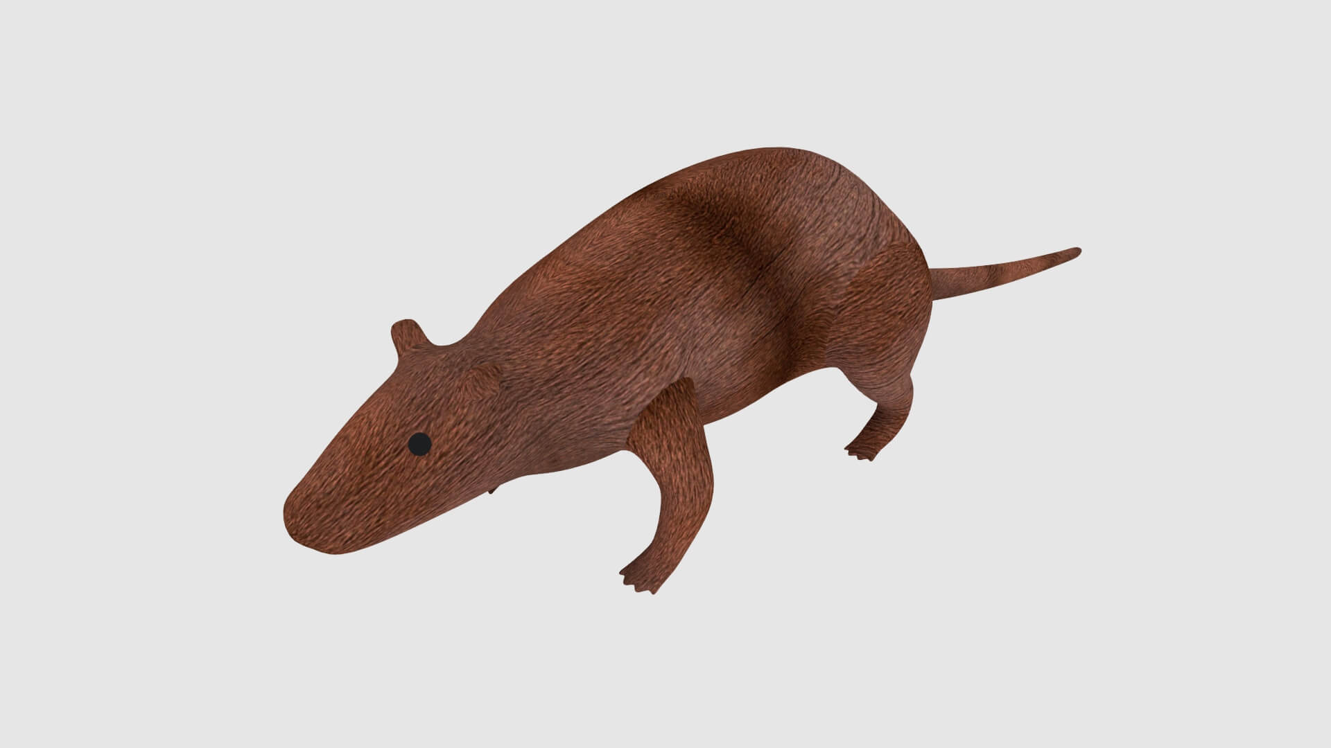 Rodent Animal - 3D Model by MerajFathi