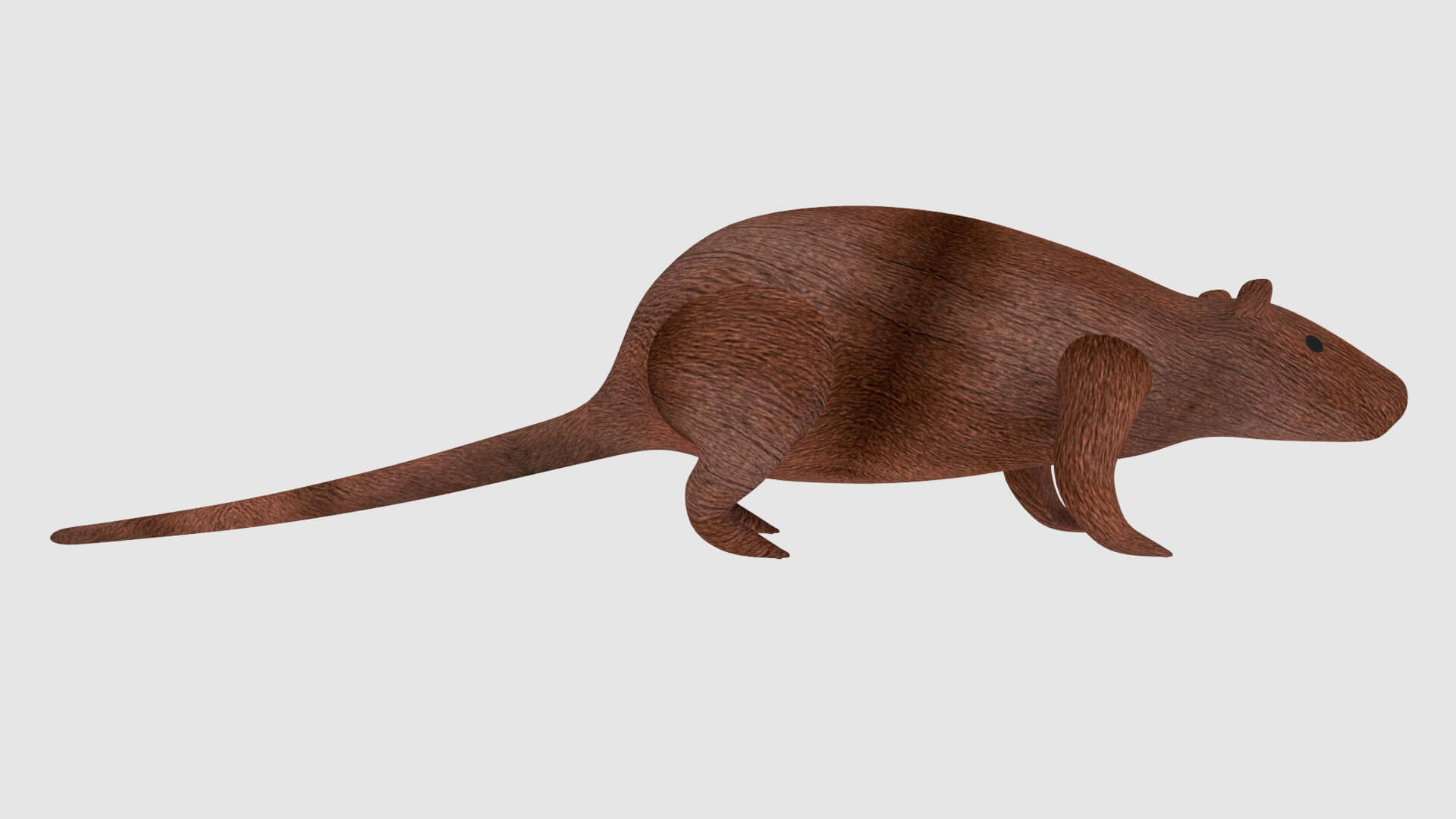 Rodent Animal - 3D Model by MerajFathi