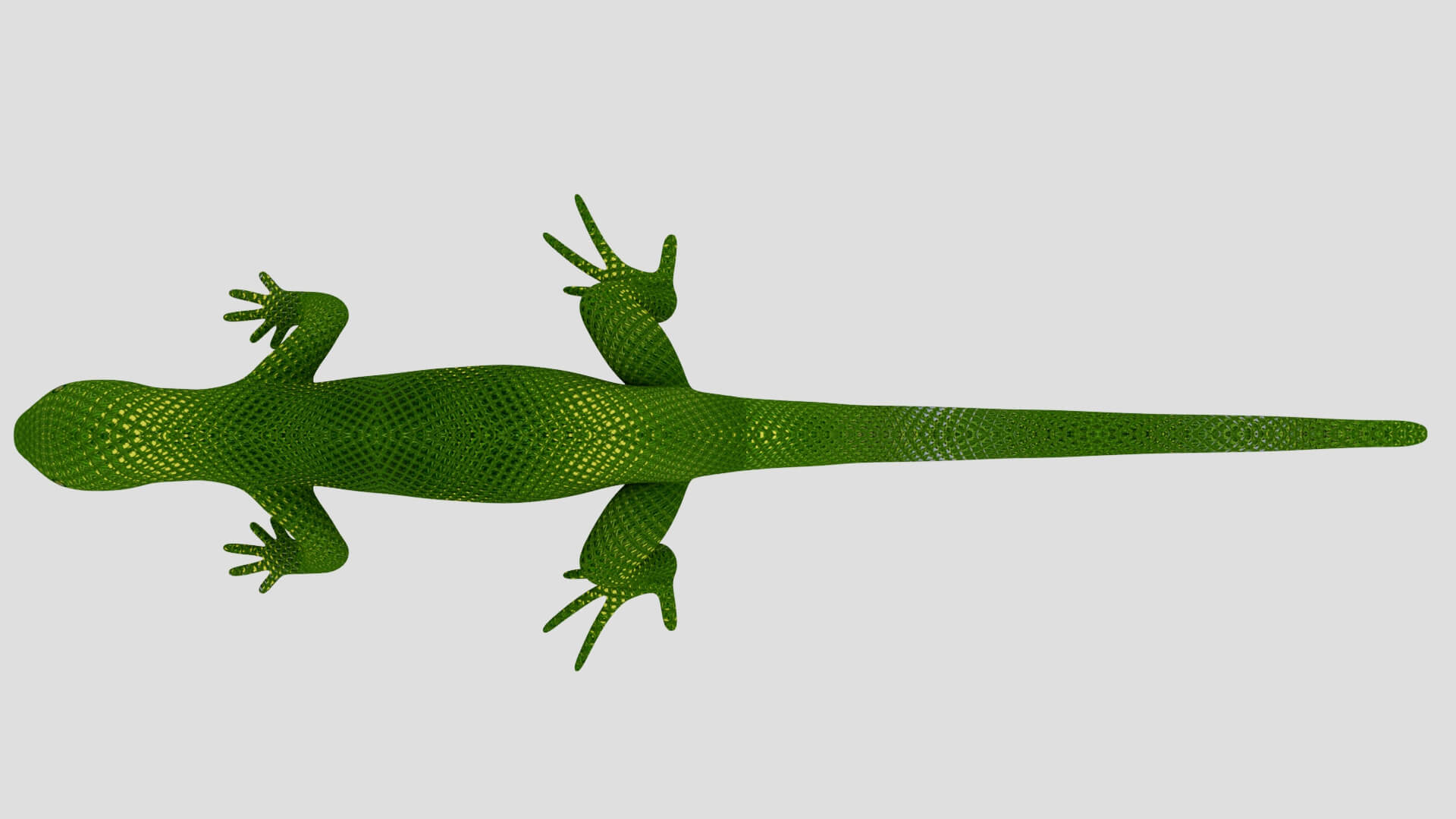 Reptile Lizard - 3D Model by MerajFathi