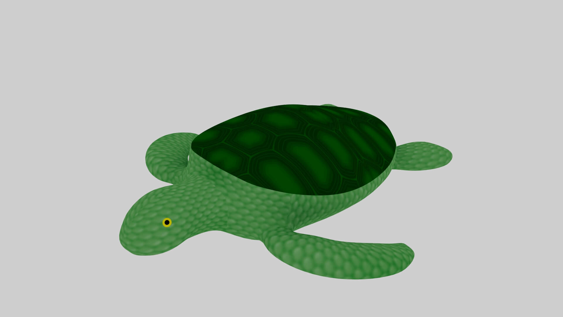 Turtle Animal - 3D Model by MerajFathi