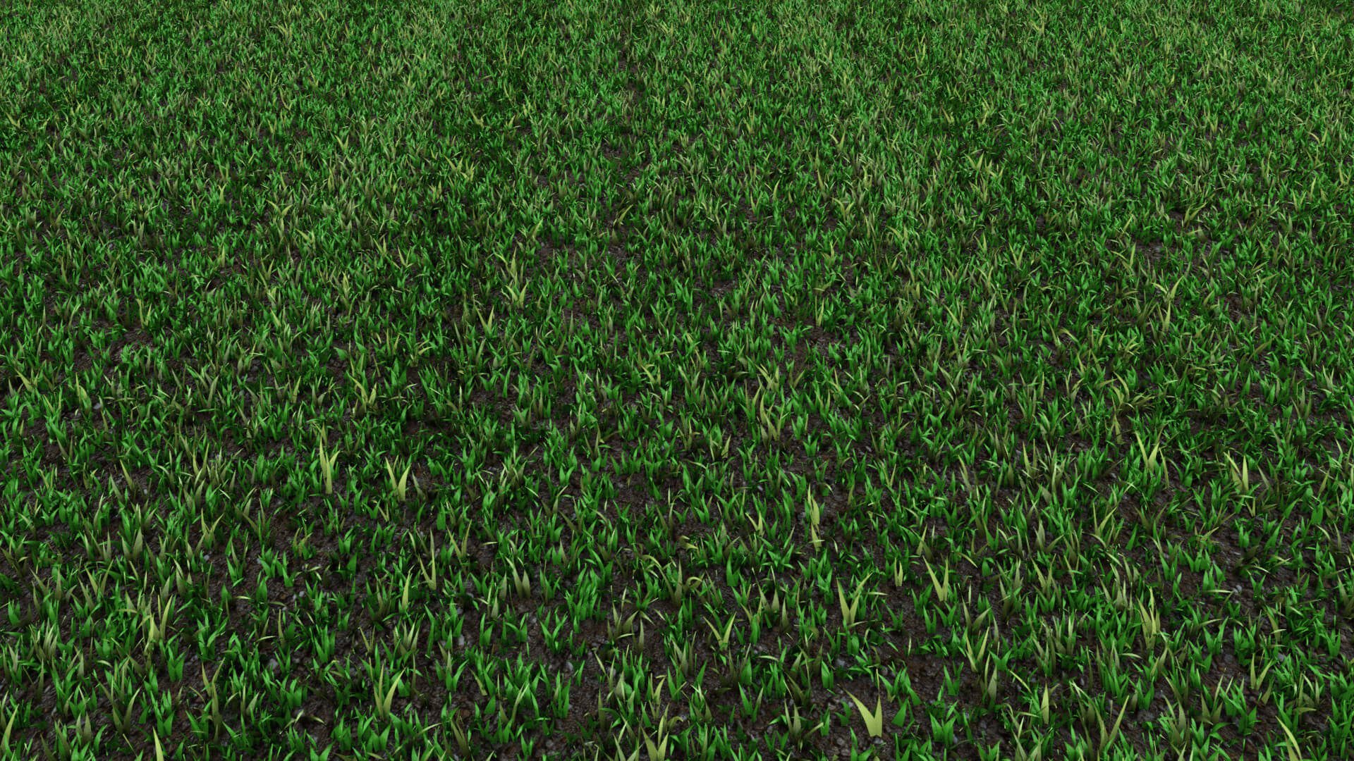 3d Grass Texture Hd