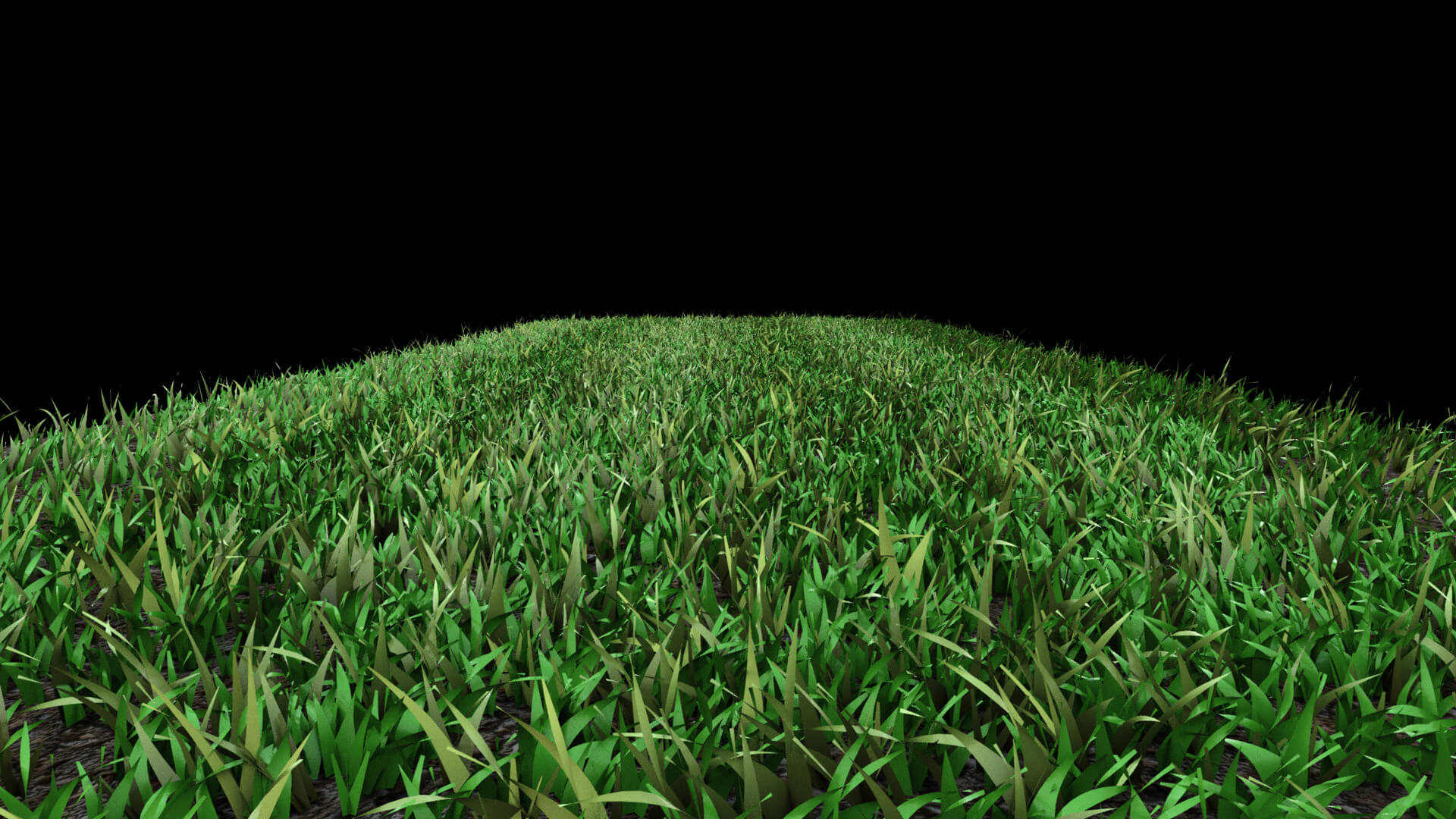 Lawn Grass - 3D Model by Meraz99