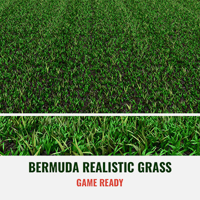 Lawn Grass - 3D Model by Meraz99