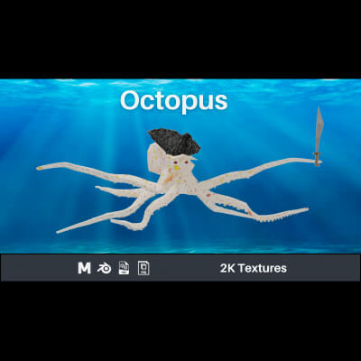 Free 3D Models | Animals | Octopus | RenderHub