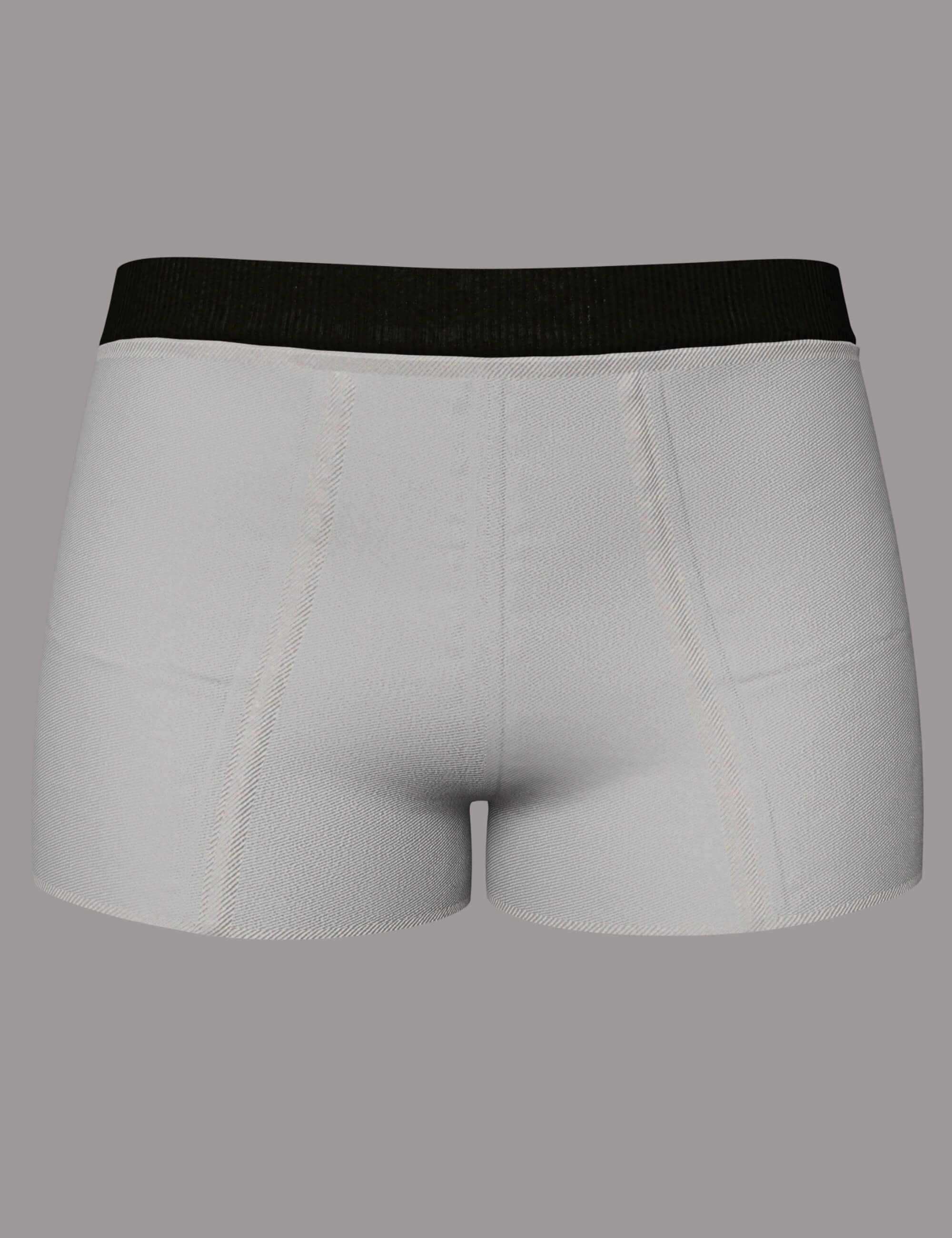 Unisex Boxer for Genesis 8 and 9 - Daz Content by metagenesis