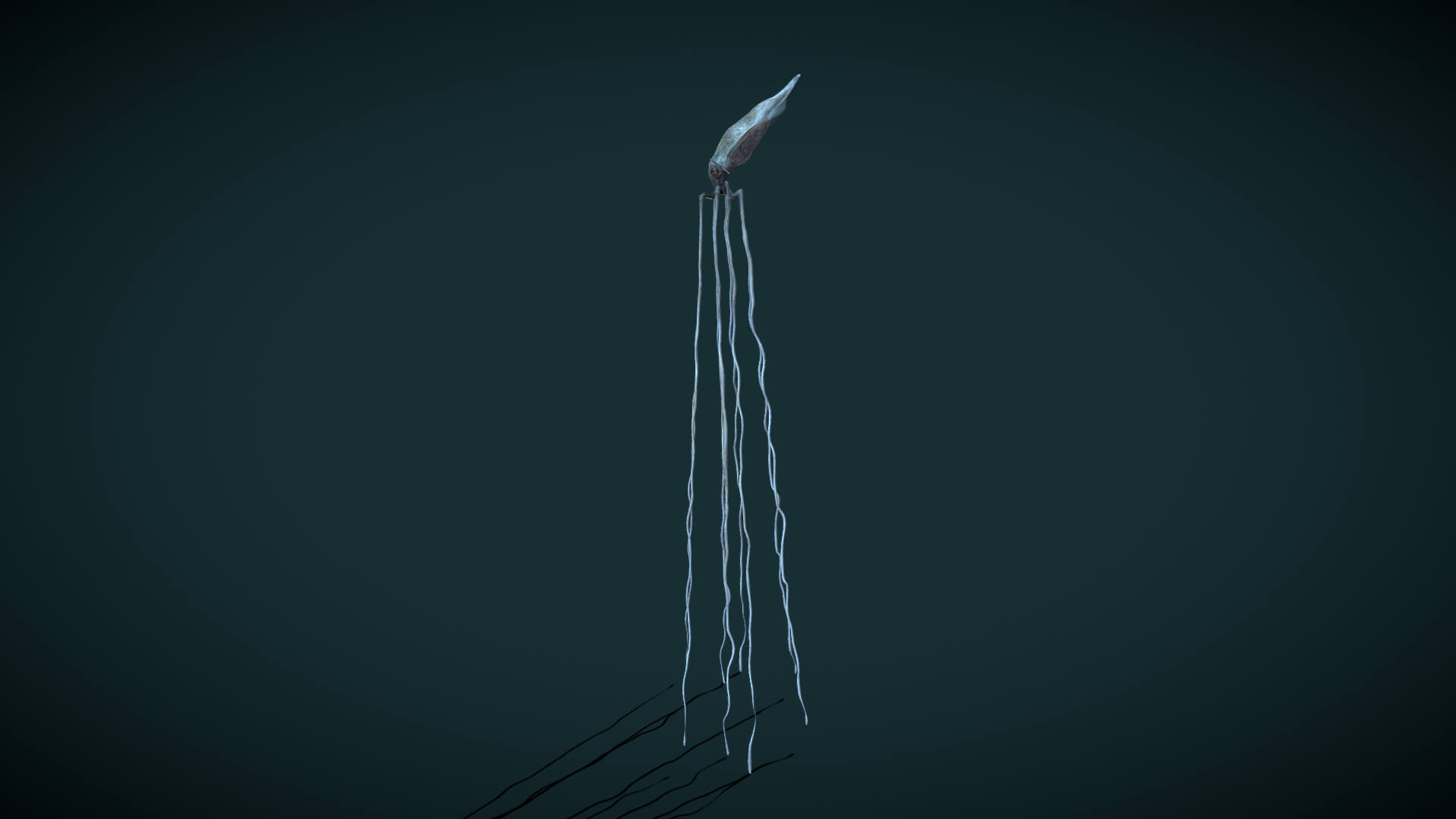Bigfin Squid - 3D Model by metalfreakqx