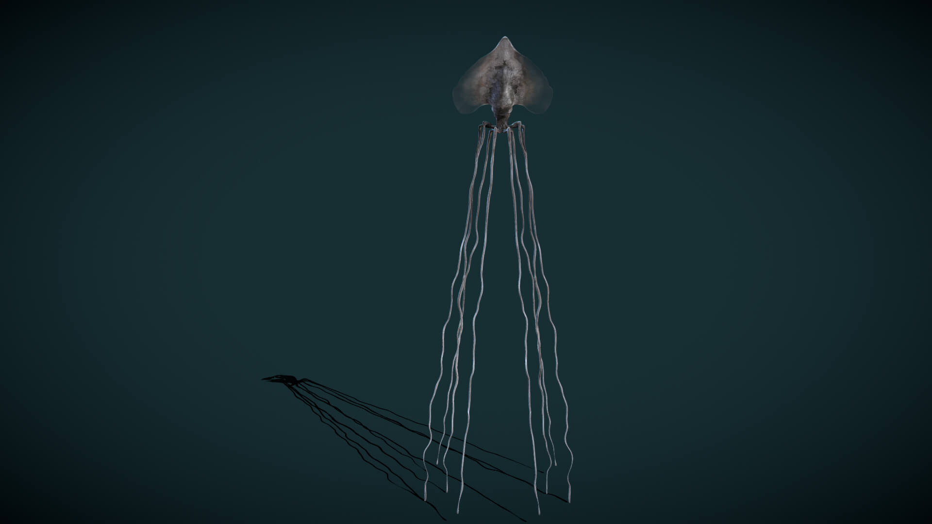Bigfin Squid - 3D Model by metalfreakqx