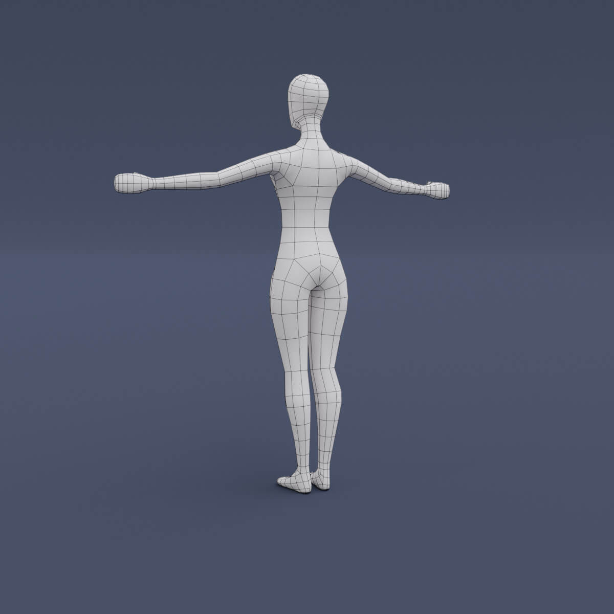 Base Mesh Female - 3D Model by mg53
