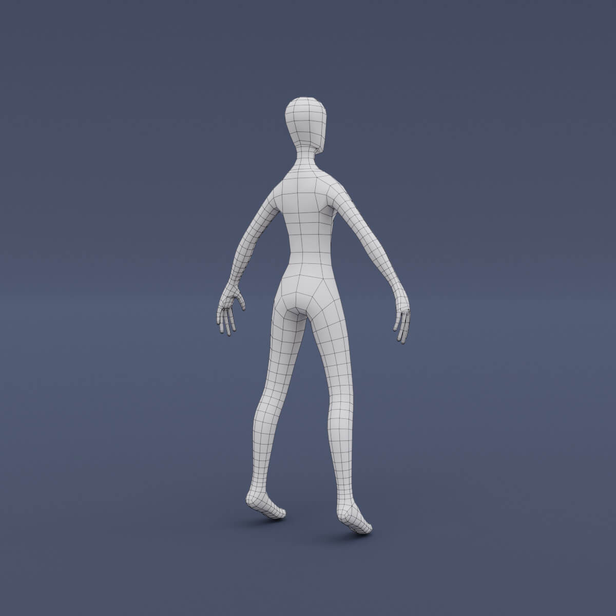 Base Mesh Female - 3D Model by mg53