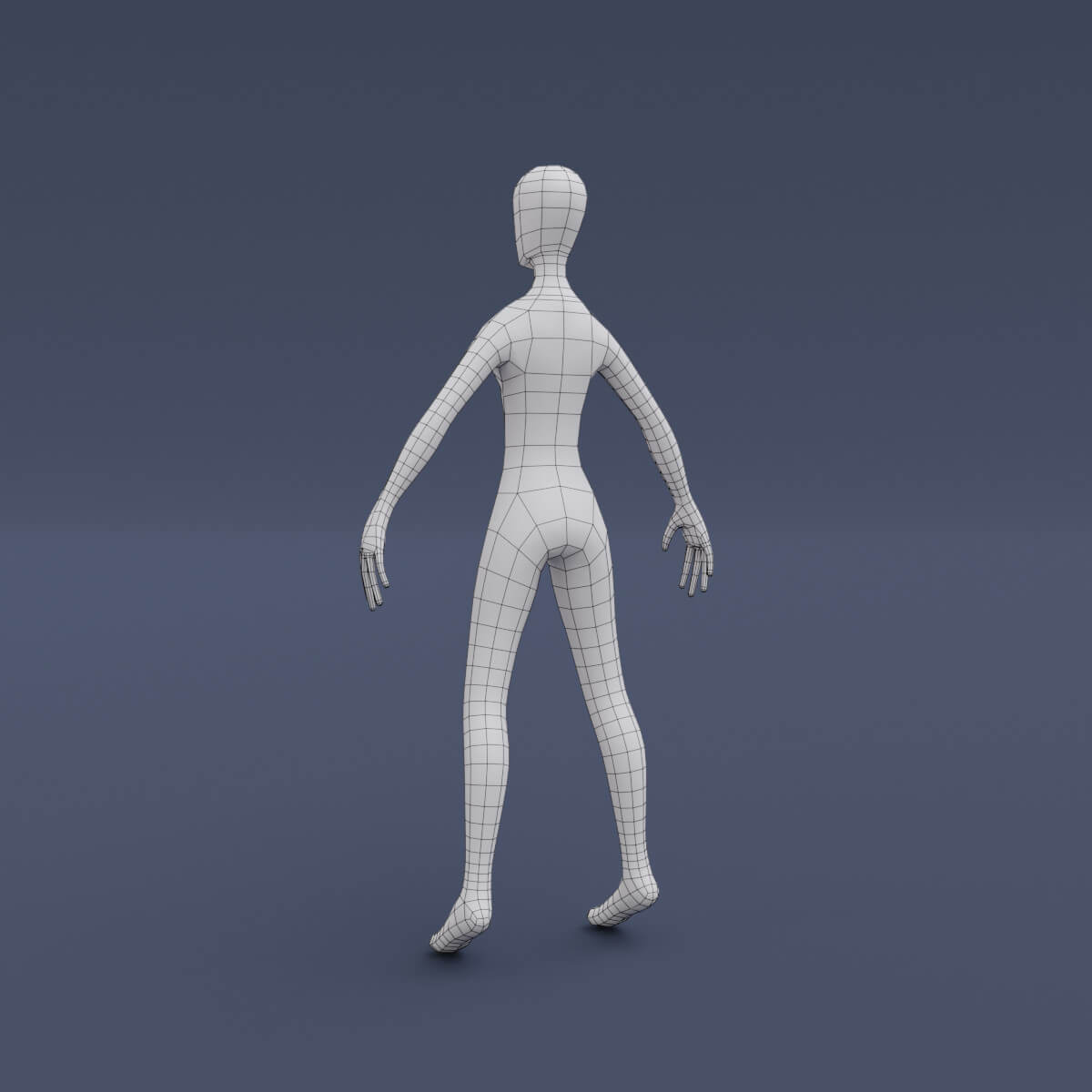 Base Mesh Female - 3D Model by mg53