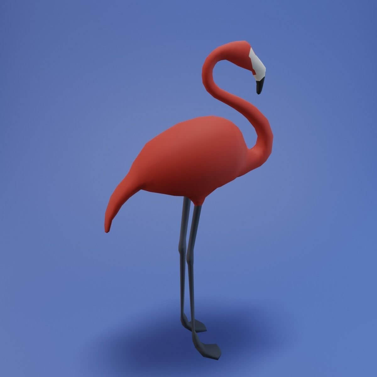 Flamingo - 3D Model by mg53
