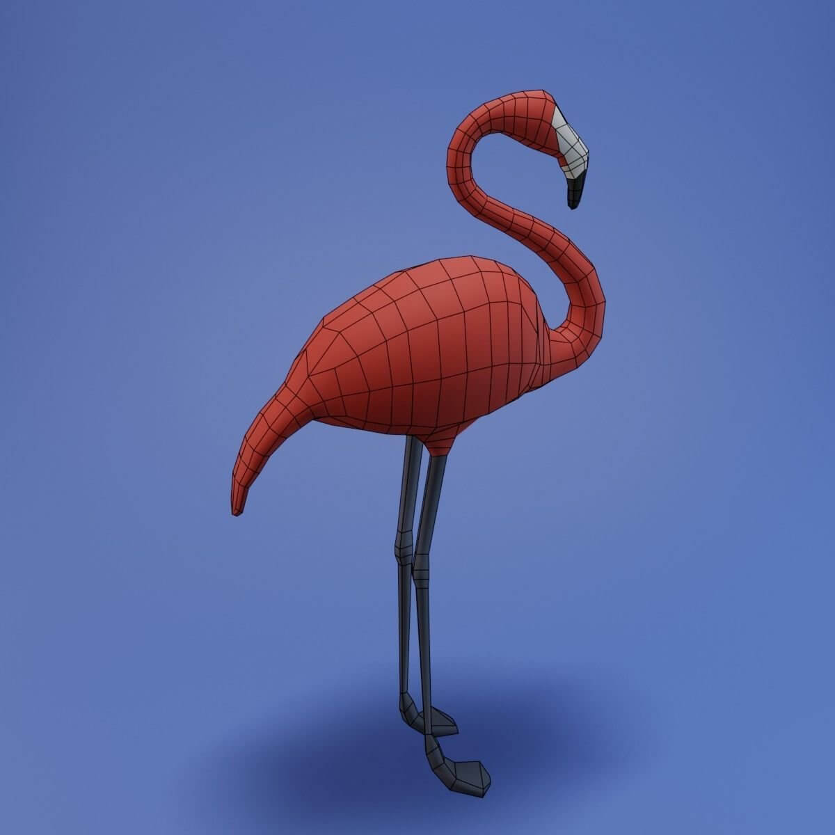 Flamingo - 3D Model by mg53