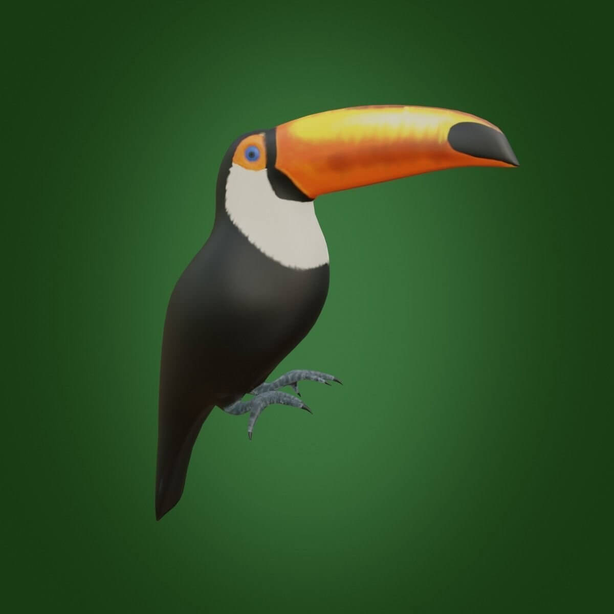 Toucan - 3D Model by mg53