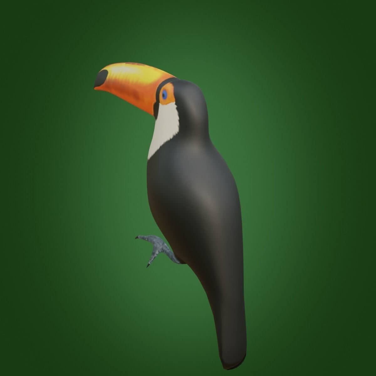 Toucan - 3D Model by mg53