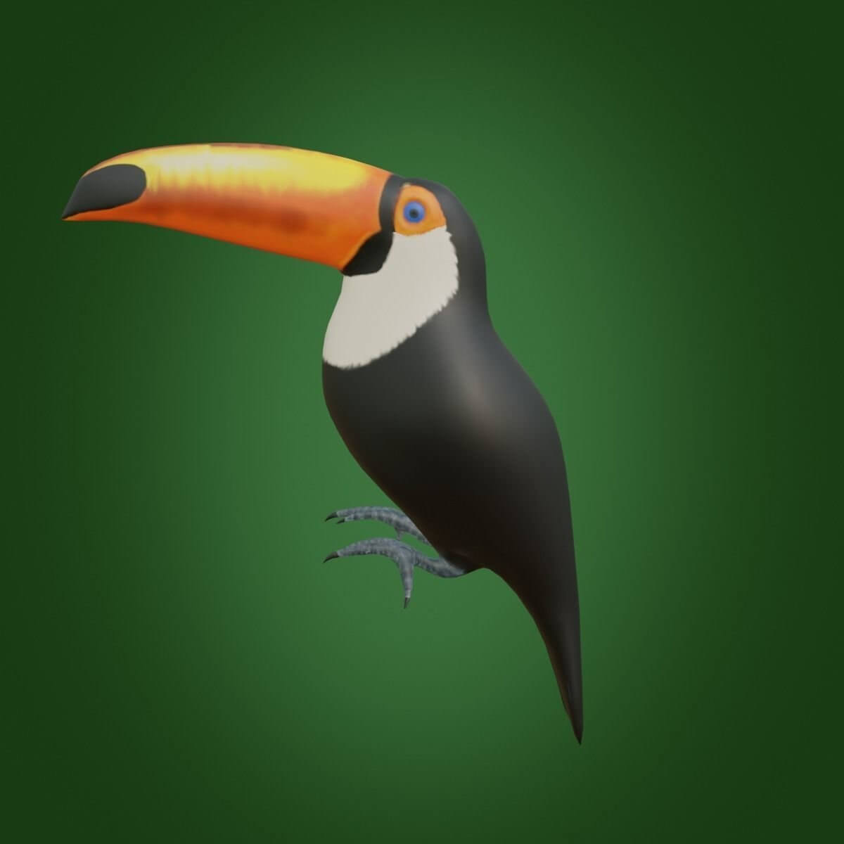 Toucan - 3D Model by mg53