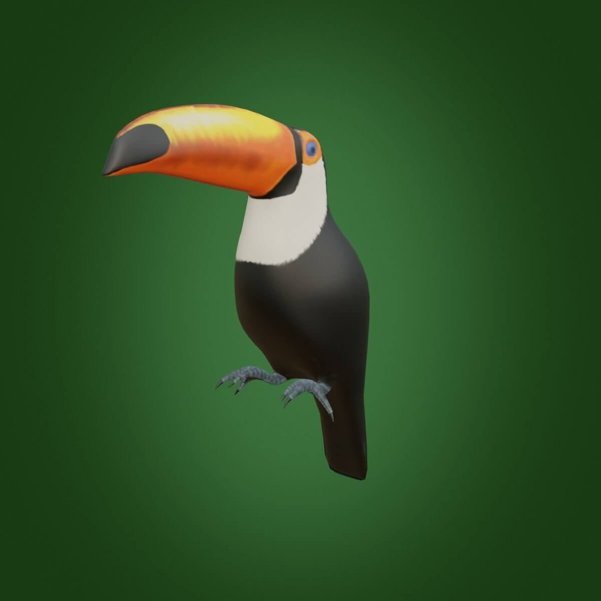 Toucan - 3D Model by mg53