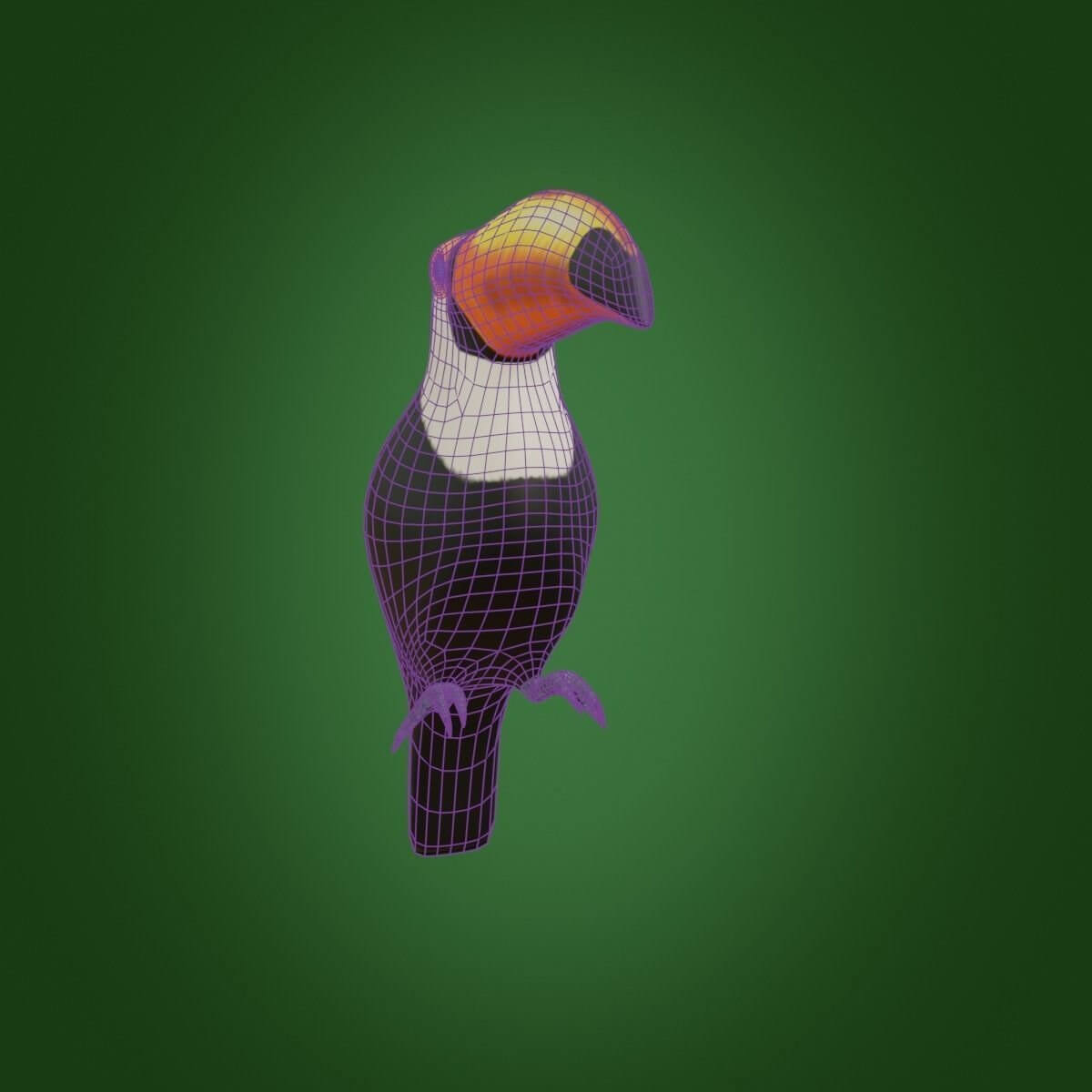 Toucan - 3D Model by mg53