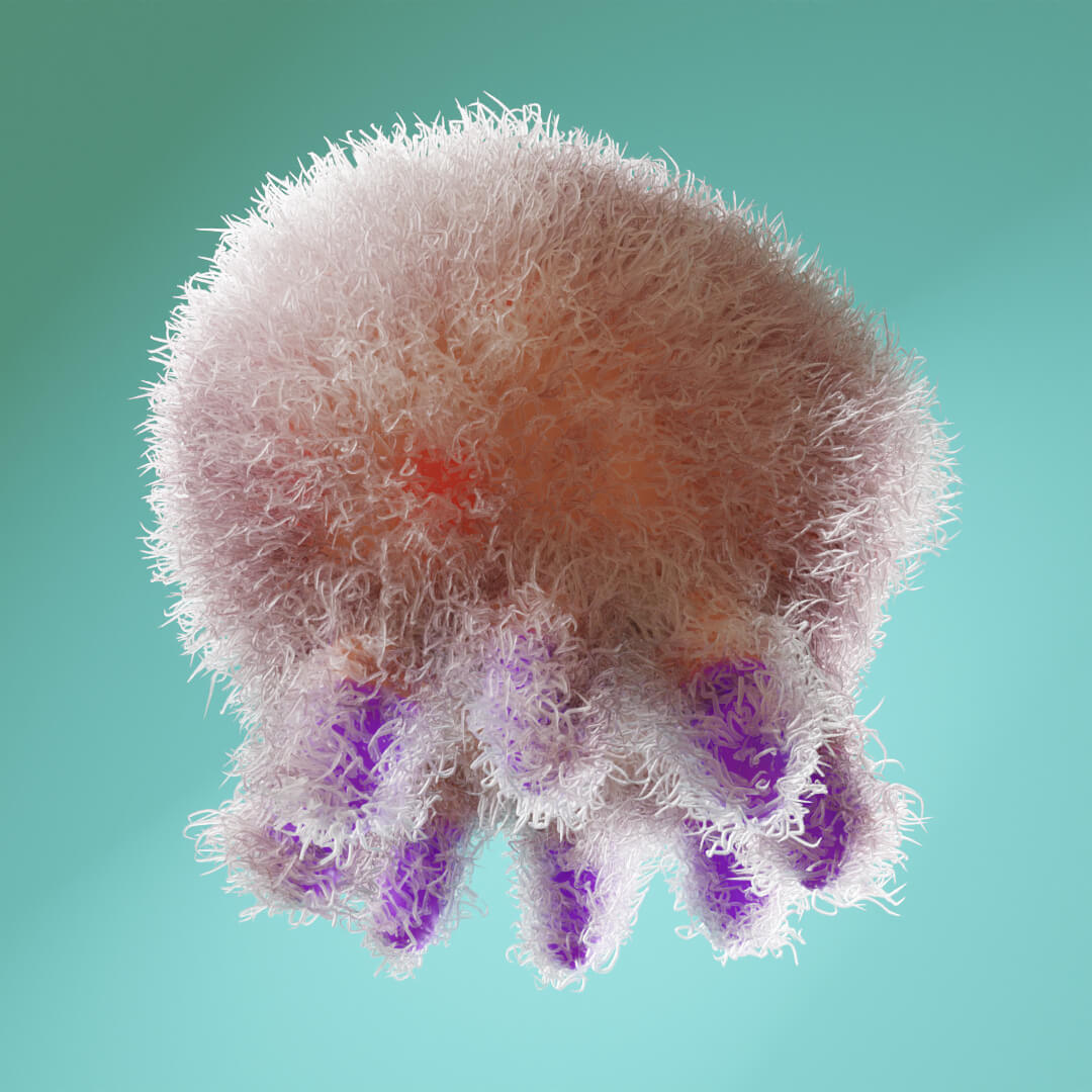 Furry Octopus.01 - 3D Model by miinam