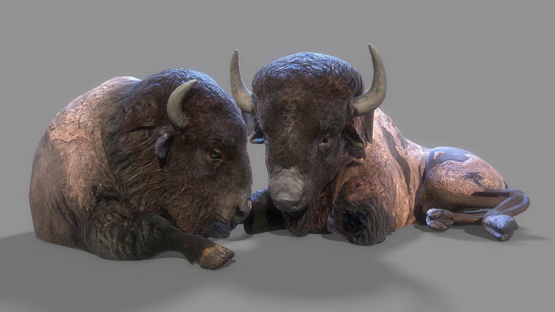 American Steppe Bison - 3D Model by Mikserart