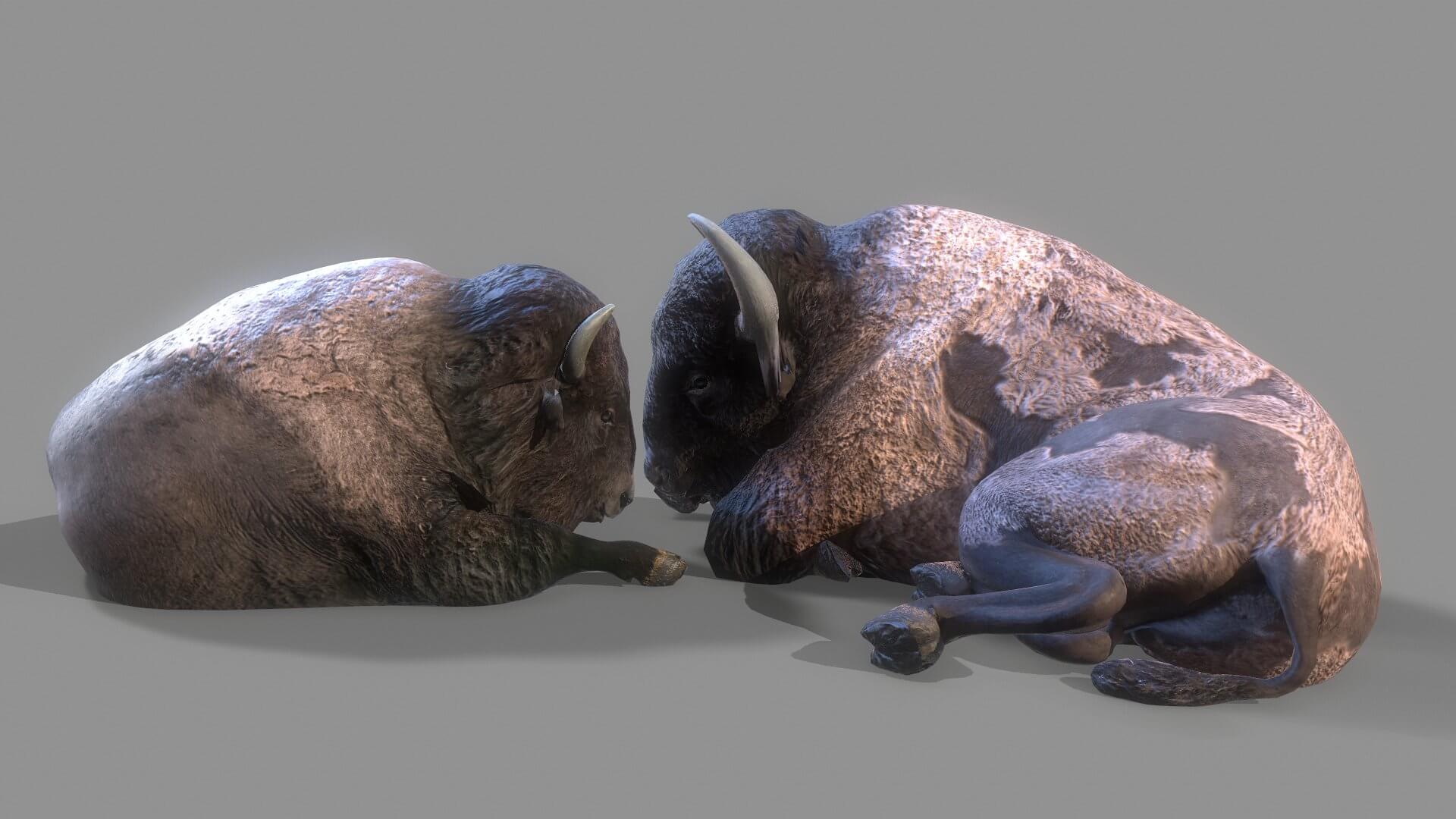 American Steppe Bison - 3D Model by Mikserart
