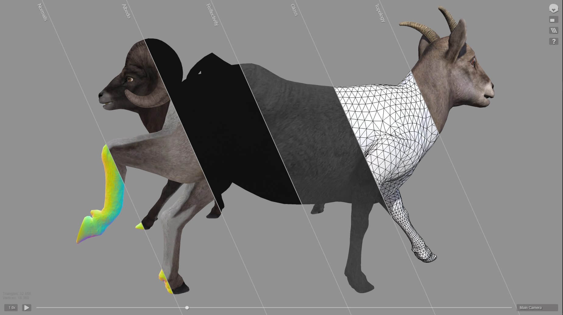 Wild Sheep Female and Male - 3D Model by Mikserart