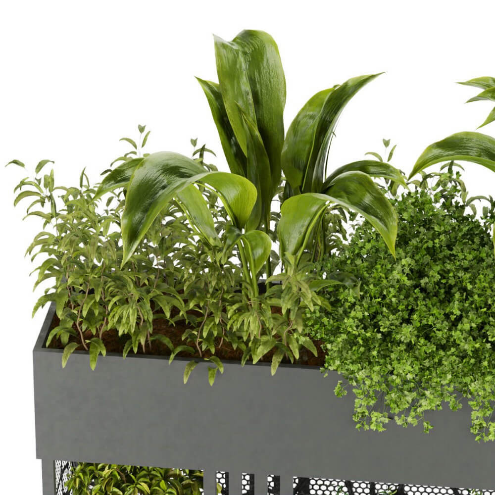 Collection Plant Vol 241 - 3D Model by miladd