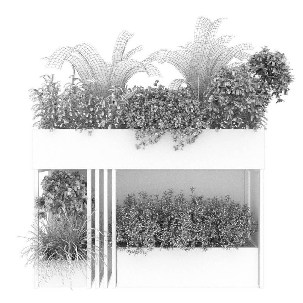 Collection Plant Vol 241 - 3D Model by miladd